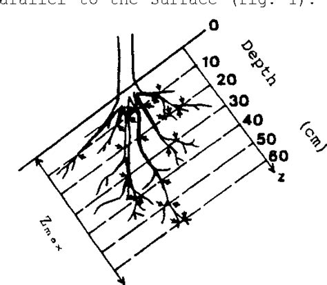 Figure From Effect Of Tree Roots On Shallow Seated Landslides Semantic Scholar