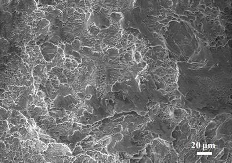 Sem Image The Anti Corrosion Layers Download Scientific Diagram