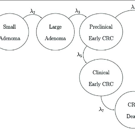 State Transition Diagram Of The Nine State Microsimulation Model Of