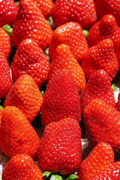 Strawberries Cute Red Free Photo On Pixabay Pixabay