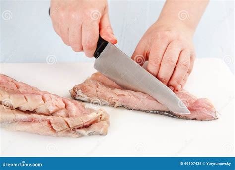 Cutting Cod Fillets Stock Image Image Of Closeup Food 49107435