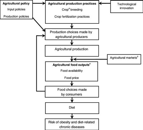 Conceptual Framework The Relationship Between Agricultural Policies Download Scientific