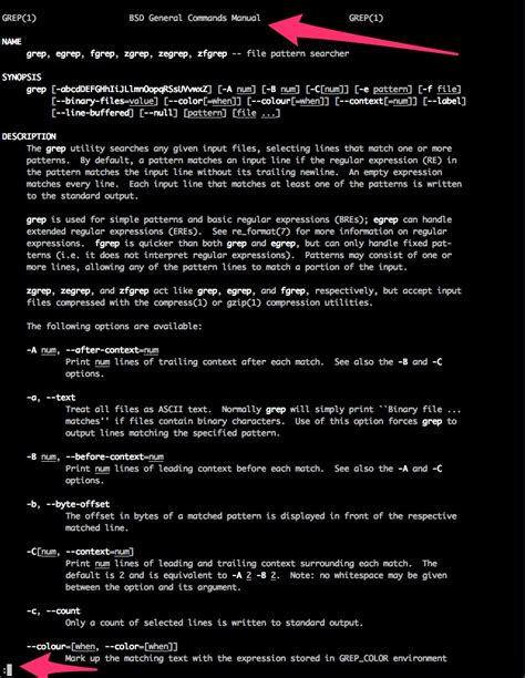 Using The Linux Whatis And Man Commands