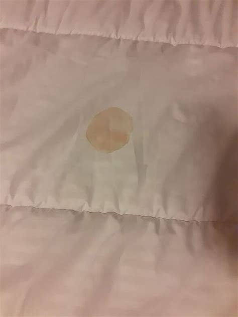 Airport Hotel By Manchester Airport In Northenden Branded Dirty Uk
