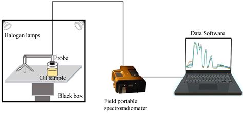 Biosensors Free Full Text Rapid Detection Of Fatty Acids In Edible Oils Using Vis Nir