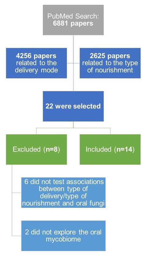 Workflow Overview Of The Systematic Review Download Scientific Diagram
