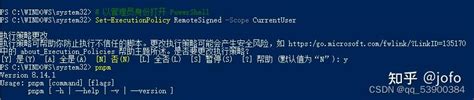 Windows环境安装pnpm后无法在全局中使用 知乎