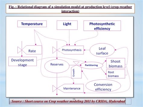 Crop Modeling Types Of Crop Growth Models In Agriculture