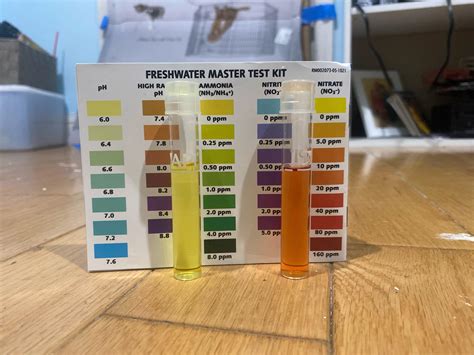 Are My Ammonia And Nitrate Levels Too High Raxolotls