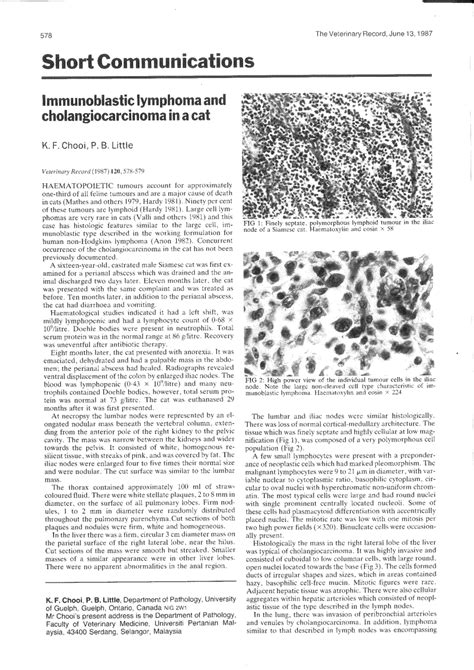 Pdf Immunoblastic Lymphoma And Cholangiocarcinoma In A Cat Pdf Immunoblastic Lymphoma And Cholangiocarcinoma In A Cat