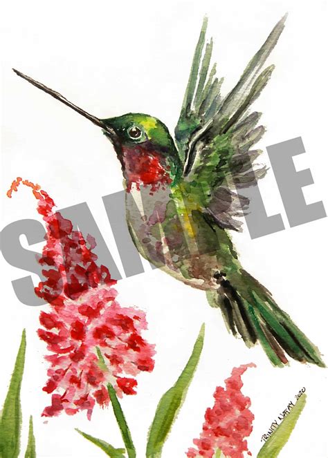 Hummingbird Watercolor My Community Made