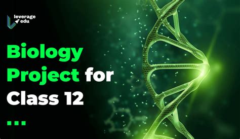 Courses After Bipc After Inter Bipc Courses List 2025