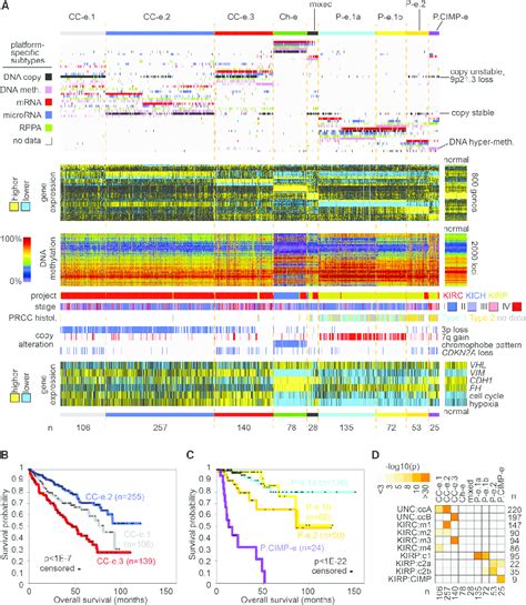 Genomic Subtypes Of Rcc By Analysis Of Multiple Data Platforms A Download Scientific Diagram