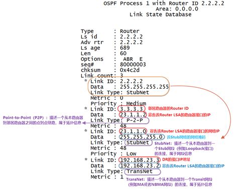ospf lsa类型 xixizhouping 博客园