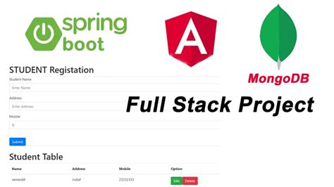 Spring Boot With Angular MongoDb Full Stack Tutusfunny