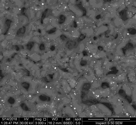 Surface Morphology Results From Sem Observation Of Sample Me 1 At Download Scientific Diagram