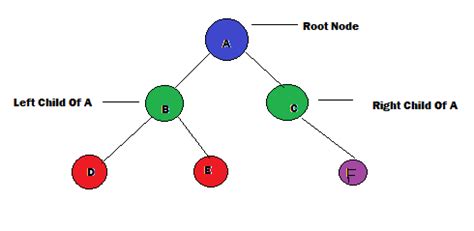 Implementation Of Binary Tree Operation In C Techbharat