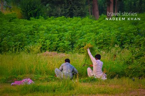 Nadeem Khan On Linkedin This Picture Reminds Us Of The Beauty And