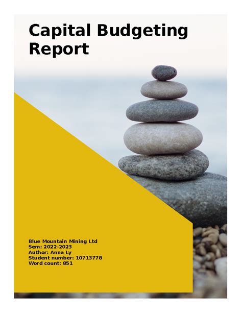 Efb210 Assignment 2022 2 Anna Ly Report Capital Budgeting Report Blue