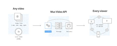 Creating Dynamic Live Streaming App With Flutter Firebase And Mux