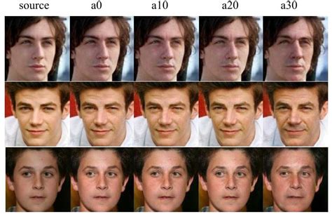 Face Aging With Identity Preserved Cgans