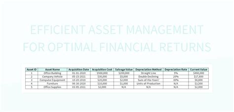 efficient asset management for optimal financial returns excel template
