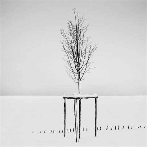 Daniel Dencescu Bnw Minimalism Magazine