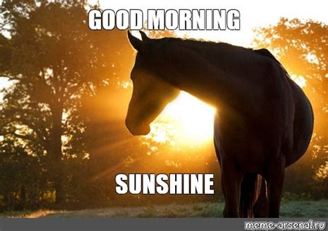 Good Morning Sunshine Meme