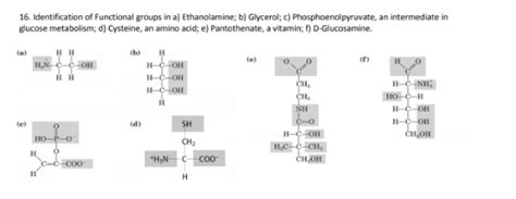 Solved 16 Identification Of Functional Groups In A