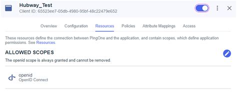 How To Protect Hubway Connect Apis With Oauth 20 Using Ping Identitity