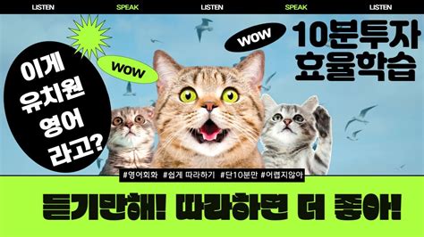 유치원수준 영어문장 10분만 들어보세요 암기하지말고 원어민발음으로 듣고 따라해도 영어 잘하게 되요 Youtube
