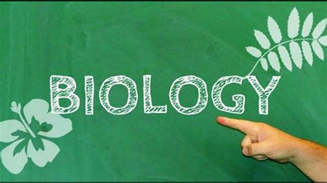 Class 11 Ncert Solutions Cell Cycle And Cell Division