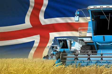 3 개의 파란 현대 결합 수확기의 산업 3d 그림은 라이 필드에 플래그닫기 보기 농업 개념 3차원 형태에 대한 스톡 사진 및 기타 이미지 Istock