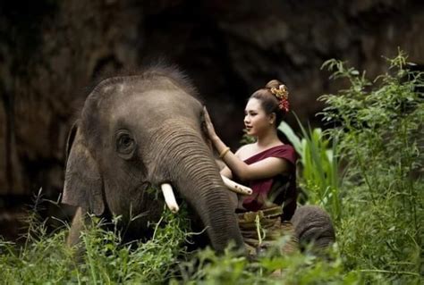 The Elephant Woman Chapter 1 Literature Nigeria