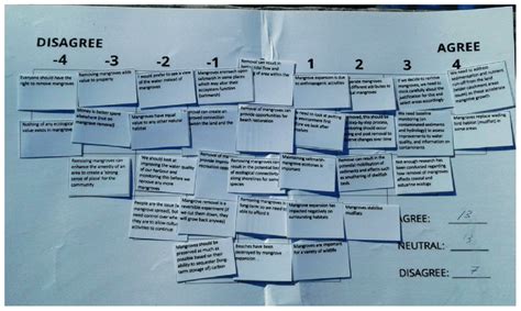 Example Of Q Sort With 33 Ecological And Social Statements Ranked From Download Scientific