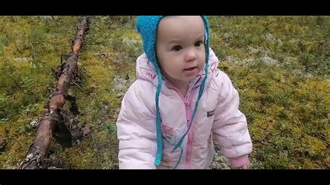 В лесу грибов нет Youtube