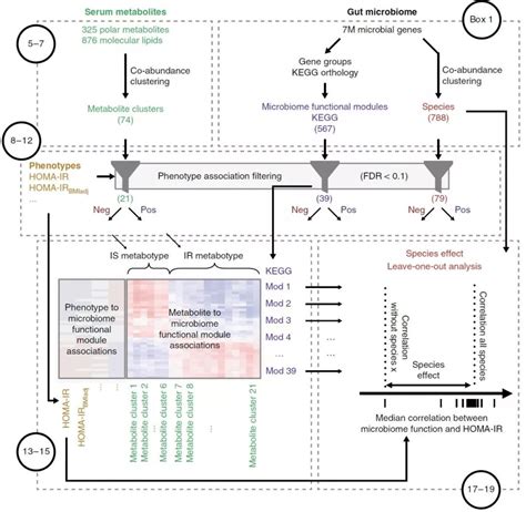Nature子刊：整合宏基因组、代谢组和表型分析的的计算框架 Csdn博客