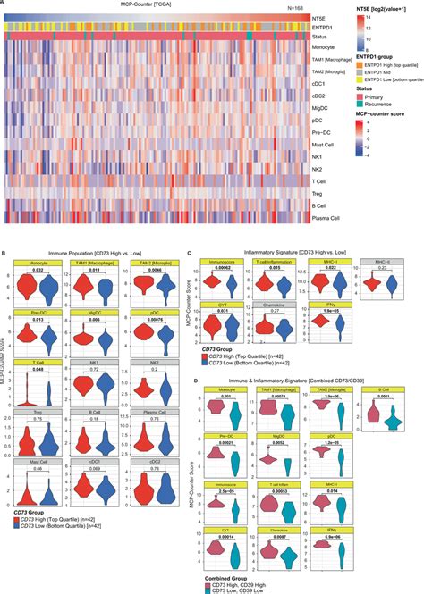 Cd73 And Cd39 Are Associated With Inflammatory Signatures In