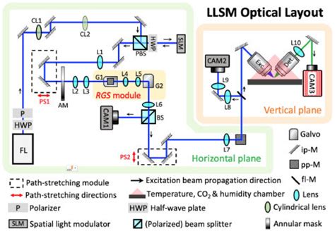 Modified Optical Layout Of Llsm We Expanded Most Of The Optics Download Scientific Diagram