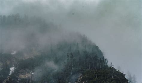 Activos Más De 700 Incendios En Canadá Se Desploma Calidad Del Aire
