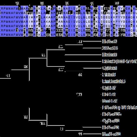 The Number Of Differentially Expressed Transcripts In Each Sex And