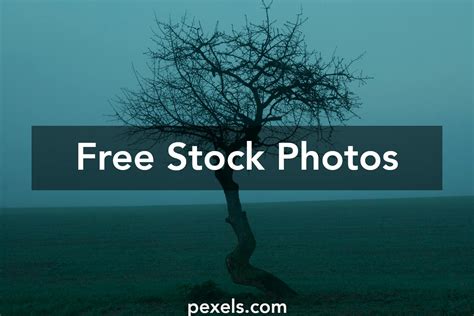 Empty Field With Grass Photos Download The Best Free Empty Field With