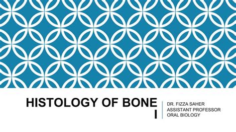 Histology Of Bone Pptx