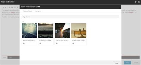 Display Assets Sitecore Documentation