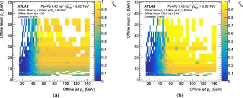 The Two Dimensional Absolute Trigger Efficiency ε μj As Defined In