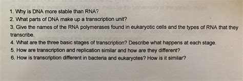 Solved Why Is DNA More Stable Than RNA What Parts Of Chegg Com