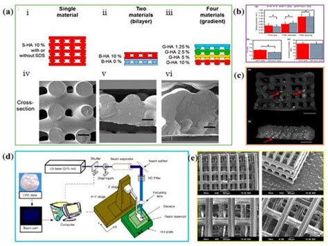 Three Dimensional Printing Of Hydroxyapatite Composites For Biomedical Application