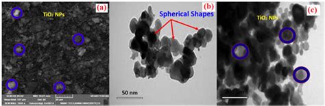 Synthesized Tio 2 Nanoparticles A Sem B Tem Images With Lower Download Scientific Diagram