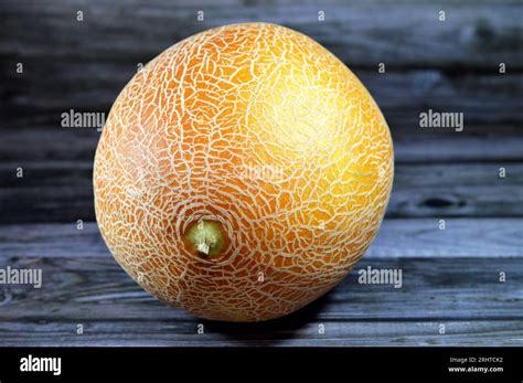 Muskmelon Cucumis Melo Or Melon A Species Of Cucumis That Has Been
