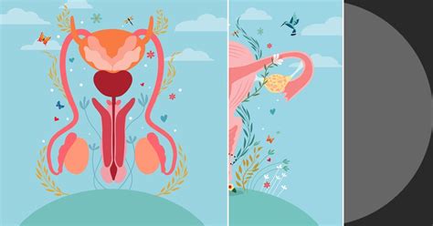 List Sex Ed Curated By Tom Steenhuysen Medium